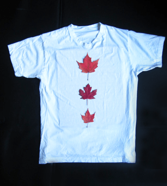 Friday Night Live at the ROM | DIY Leaf Print Shirt | Think Outside the ...
